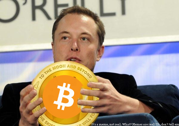 Elon Musk is a Bitcoin Hodler and a Bitcoin Maximalist Elon Musk is a Bitcoin Hodler and a Bitcoin Maximalist